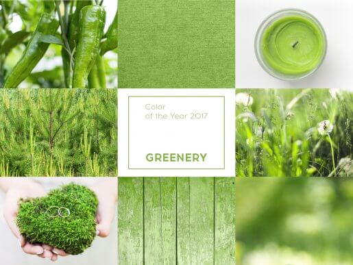 Greenery: uma tendência que continua - Decor Tips